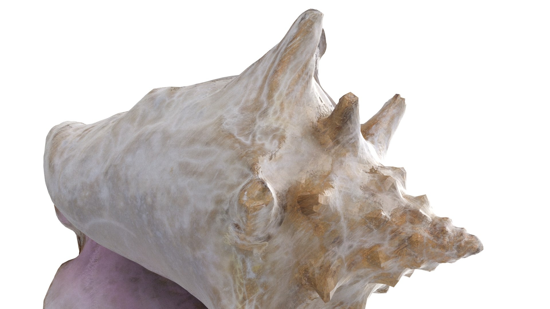 - Version 3D Model - TurboSquid 1413657