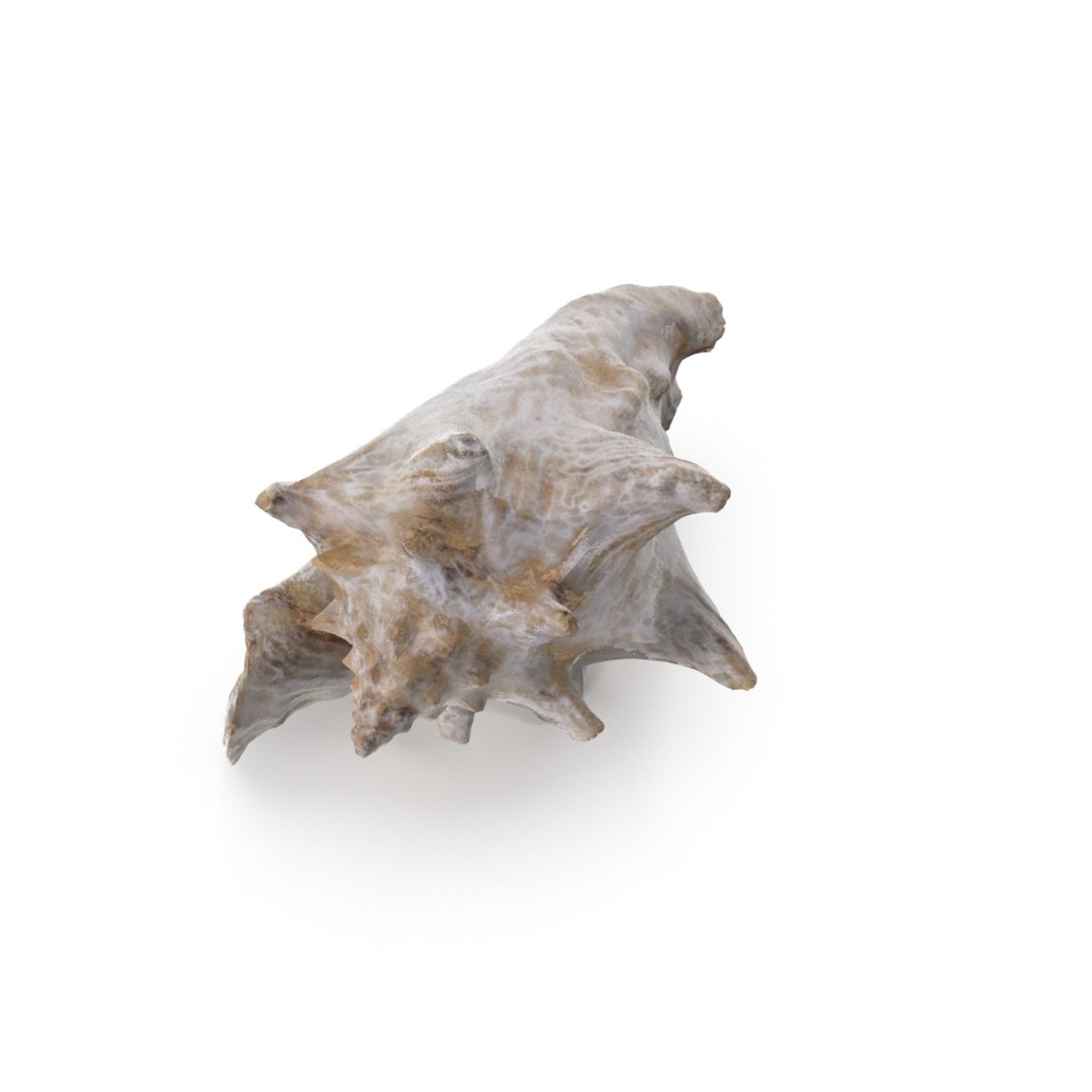 - Version 3D Model - TurboSquid 1413657