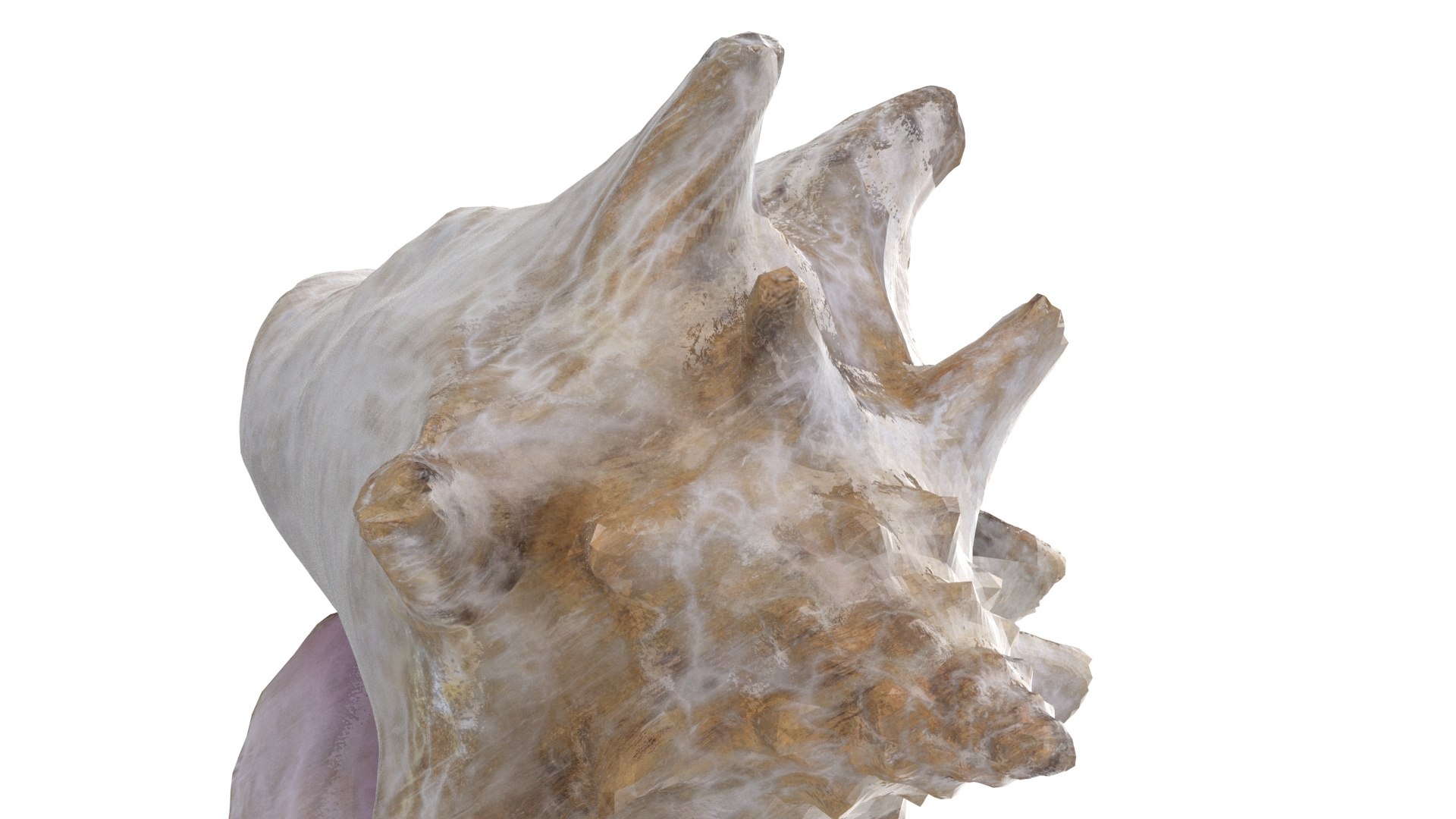 - version 3D model - TurboSquid 1413657