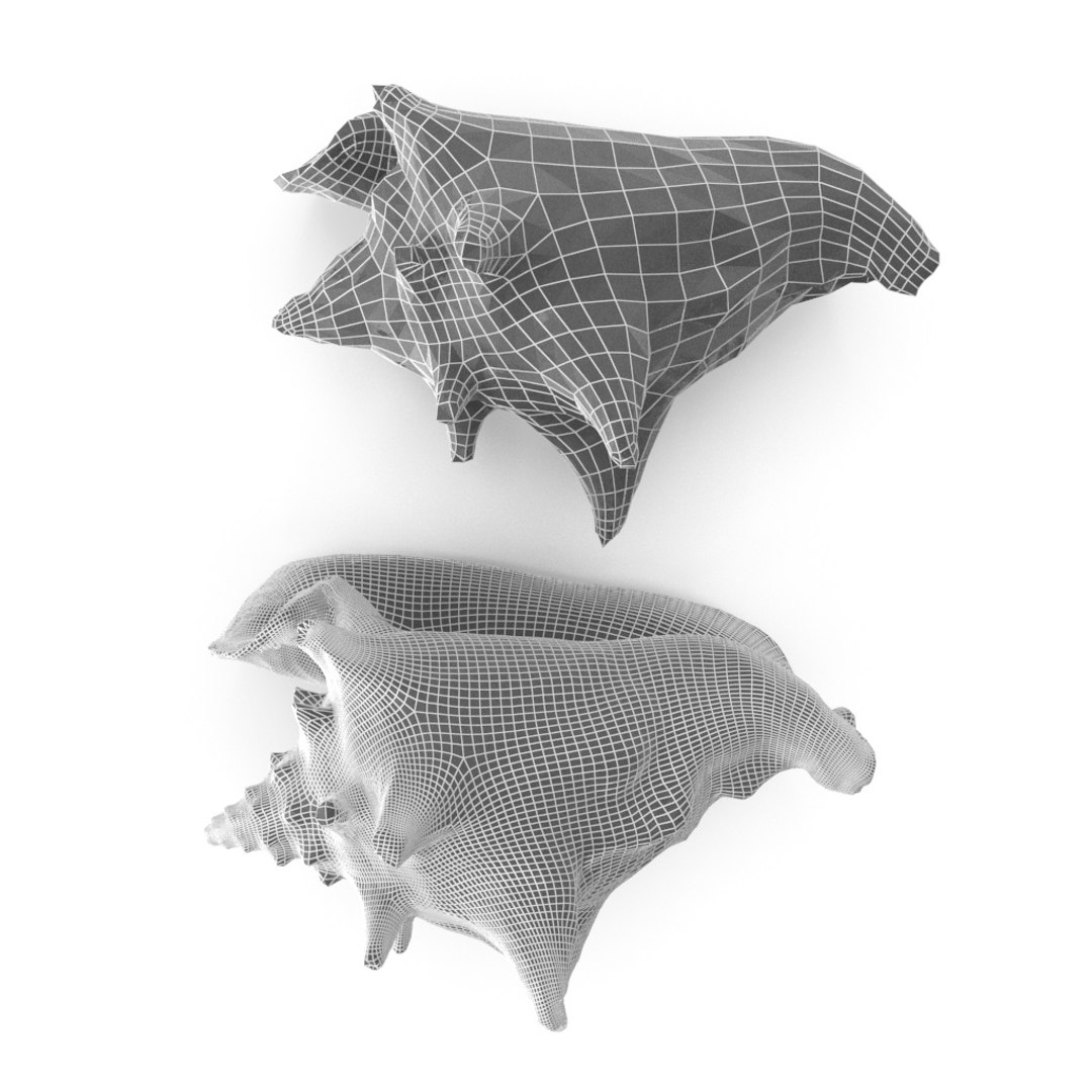 - Version 3D Model - TurboSquid 1413657