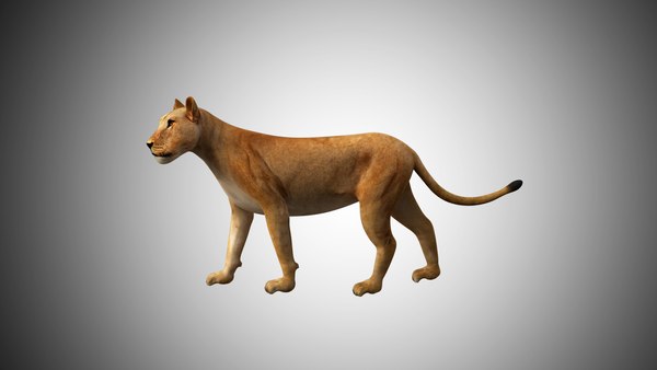 3D rigged realistic - TurboSquid 1591853