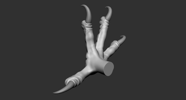 Eagle claw animal 2019 3D model - TurboSquid 1440084