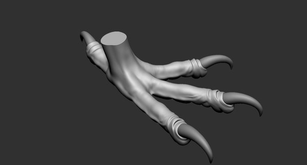 Eagle claw animal 2019 3D model - TurboSquid 1440084