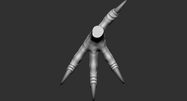 Eagle claw animal 2019 3D model - TurboSquid 1440084