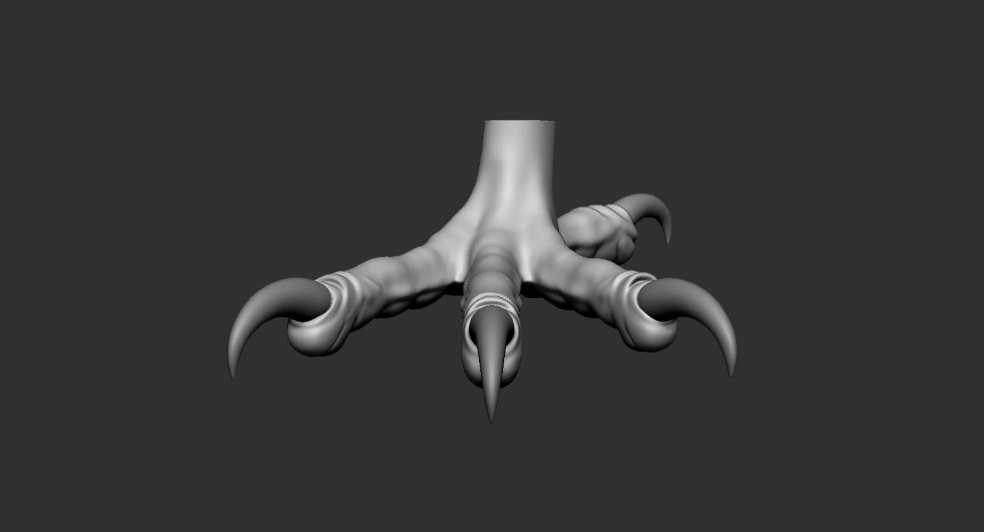 Eagle Claw Animal 2019 3D Model - TurboSquid 1440084