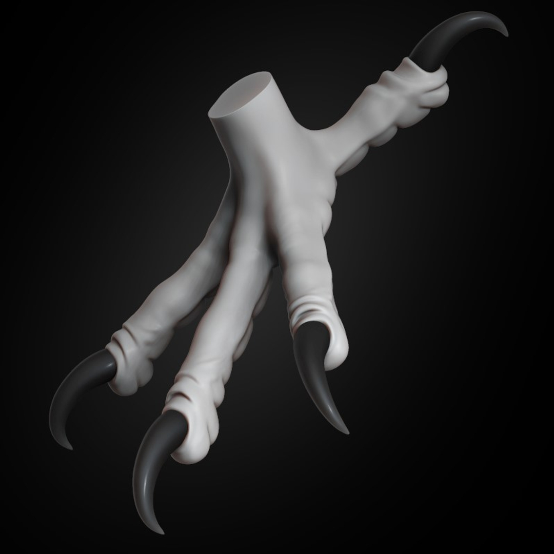 Eagle claw animal 2019 3D model - TurboSquid 1440084