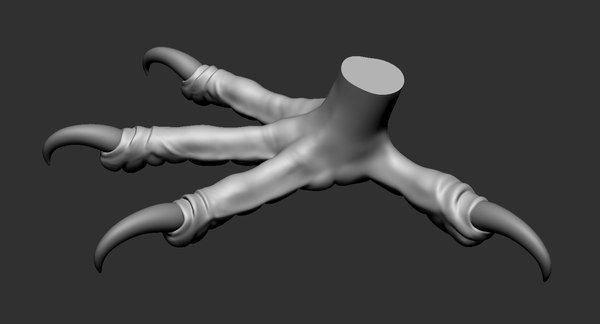 Eagle claw animal 2019 3D model - TurboSquid 1440084