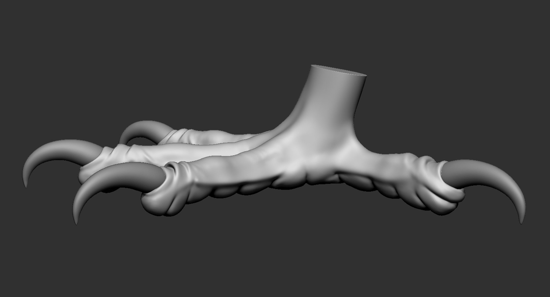 Eagle Claw Animal 2019 3D Model - TurboSquid 1440084