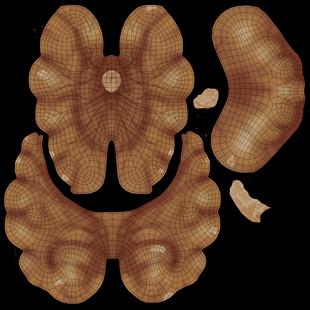 3D Walnut Kernel - TurboSquid 2009688