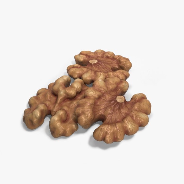 3D Walnut Kernel - TurboSquid 2009688