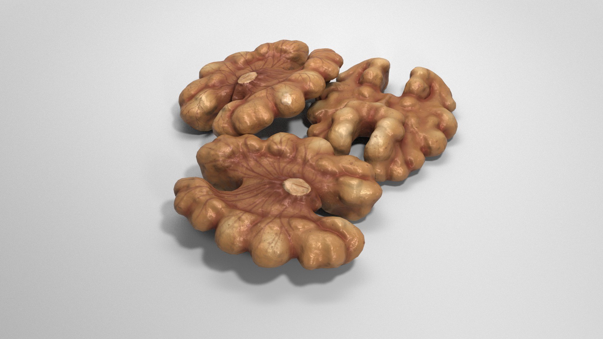 3D Walnut Kernel - TurboSquid 2009688