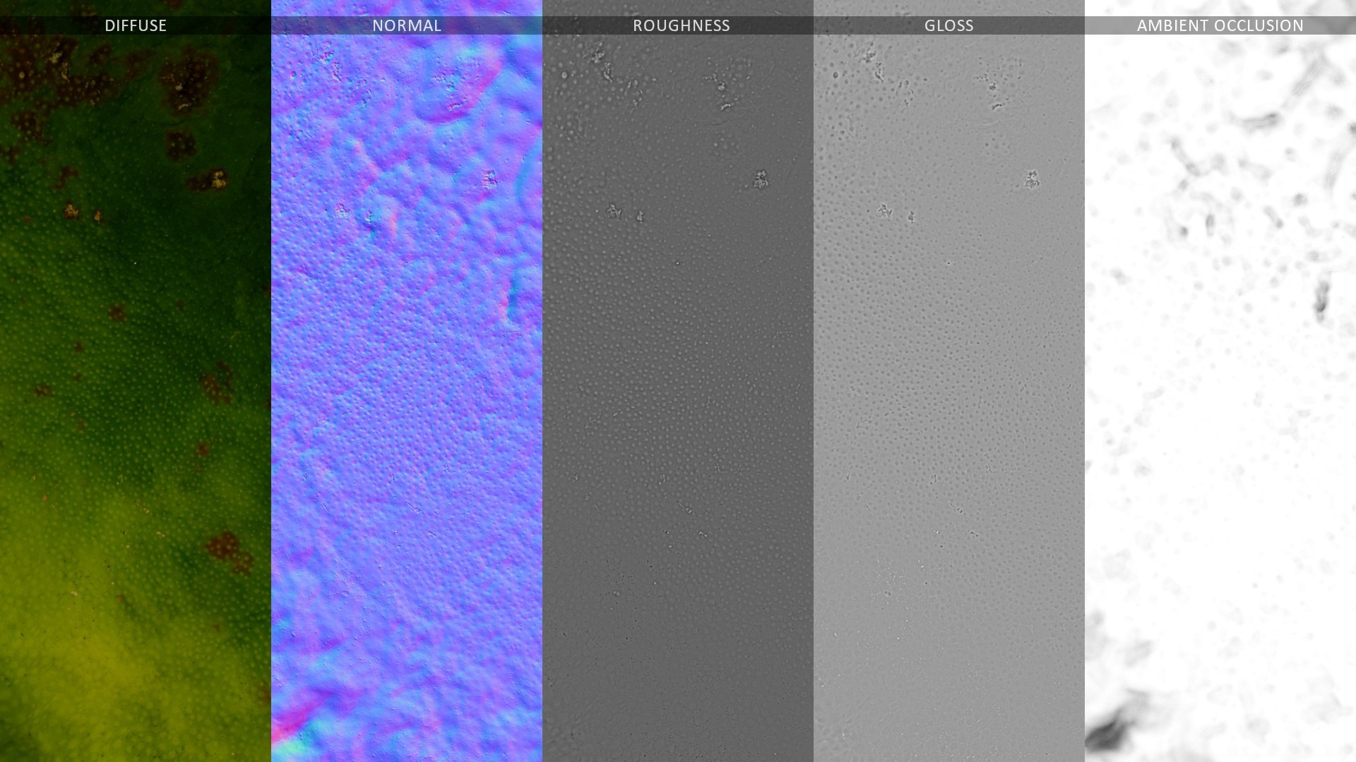 Lime Fruit Food 3D Model - TurboSquid 1669491