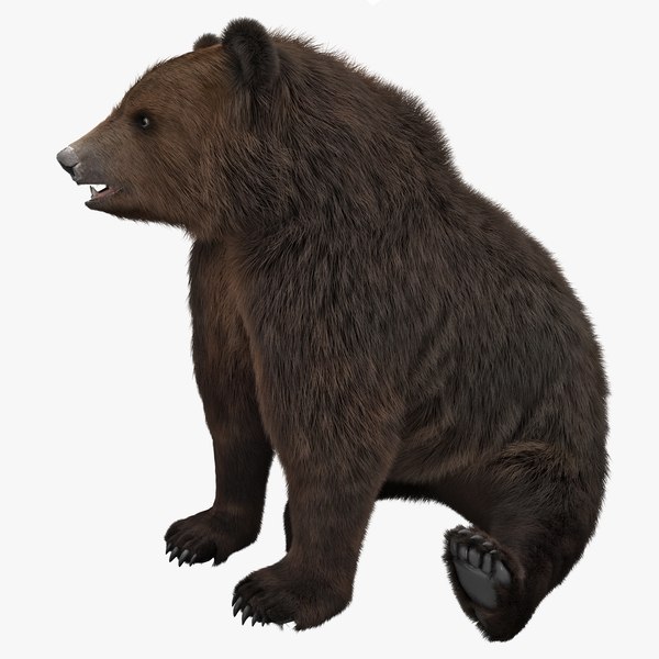 bear pose 3 3d max