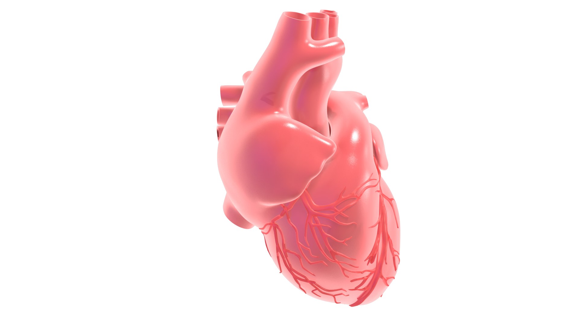 Human Heart 3D Model - TurboSquid 2032922