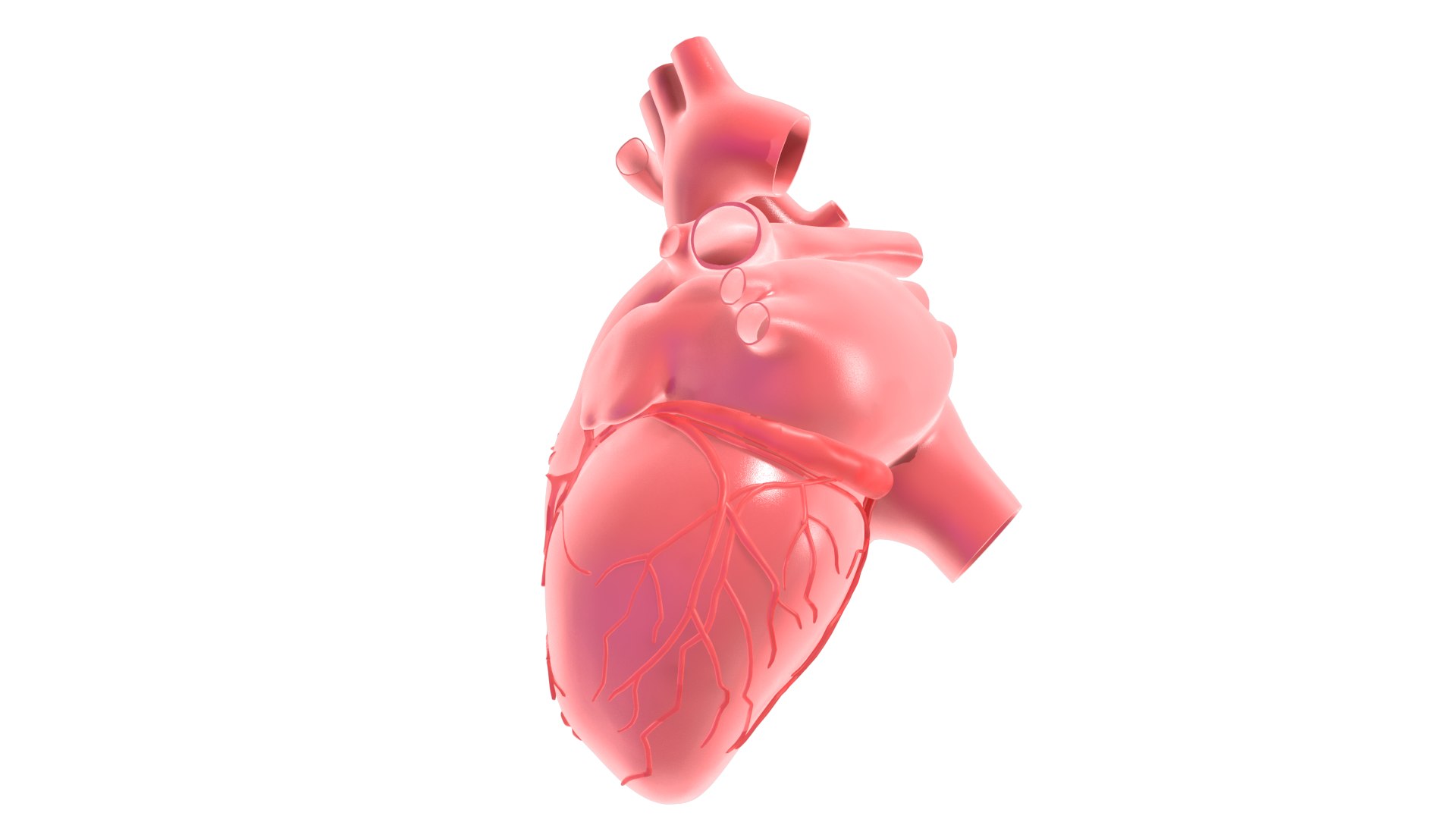 Human Heart 3D Model - TurboSquid 2032922