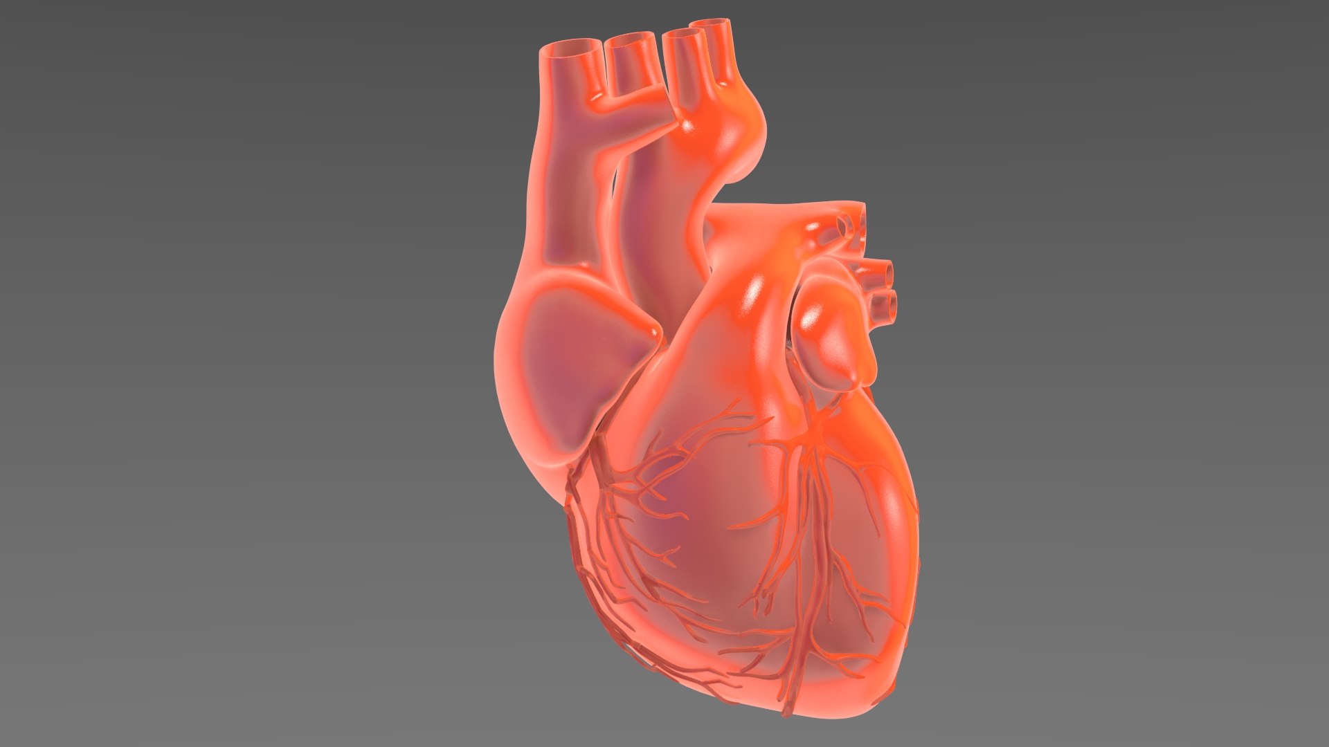 Human Heart 3D Model - TurboSquid 2032922