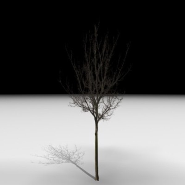 3d tree j3d model