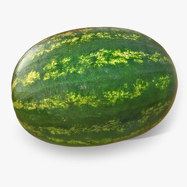 modelo 3d Sandía Entera Realista 3 - TurboSquid 1440864