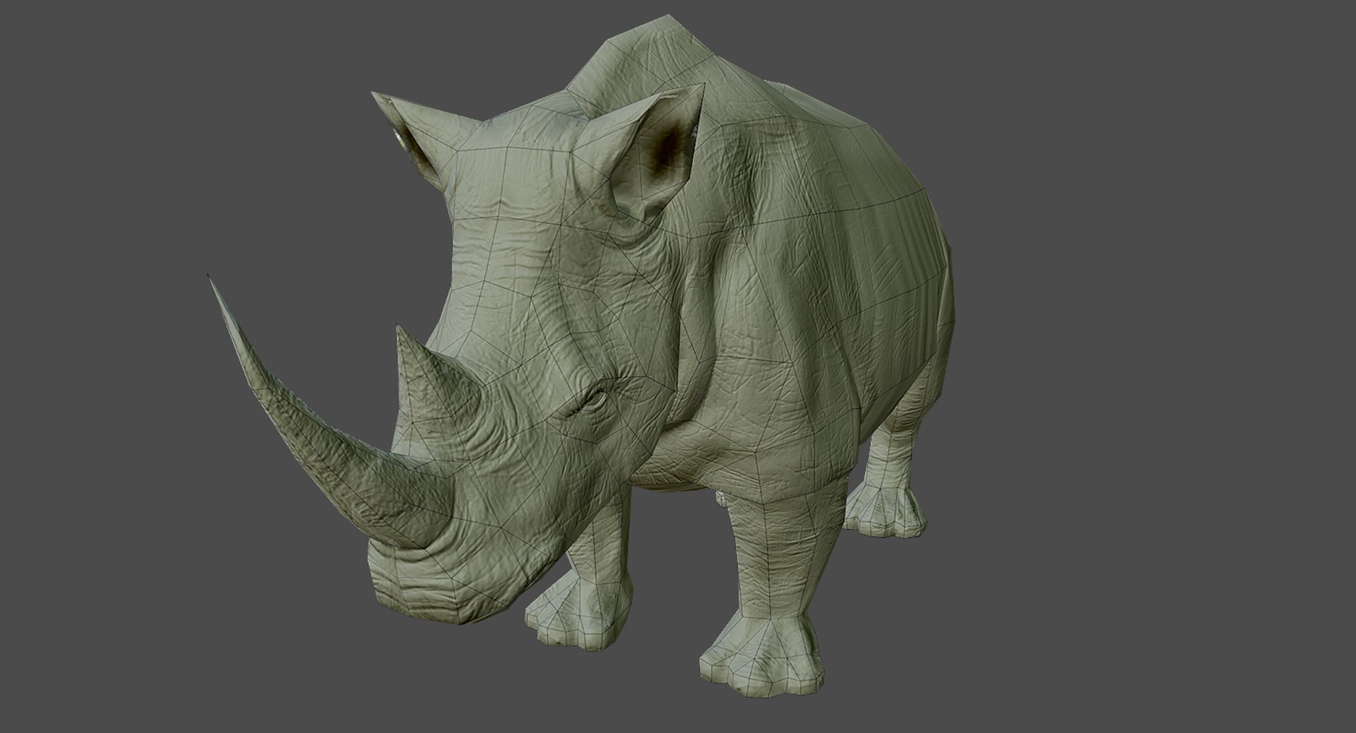 Realistic Rhino 3d Model