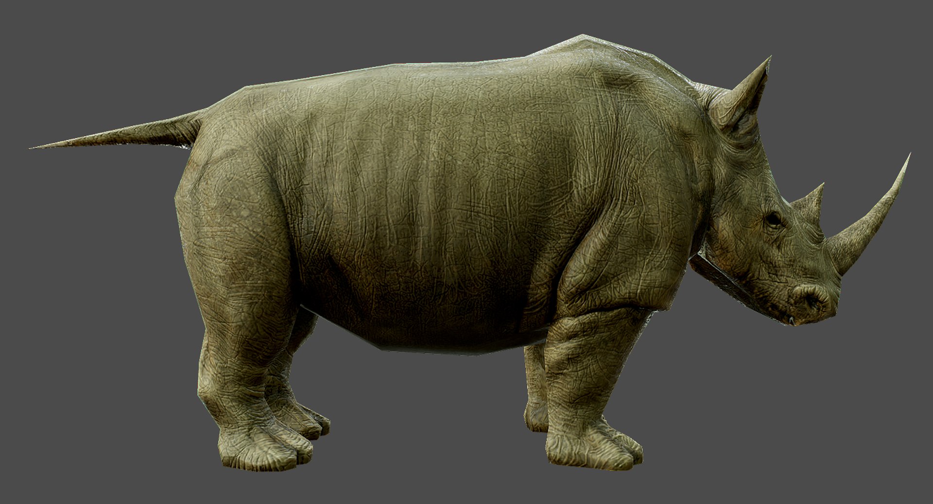 Realistic Rhino 3d Model