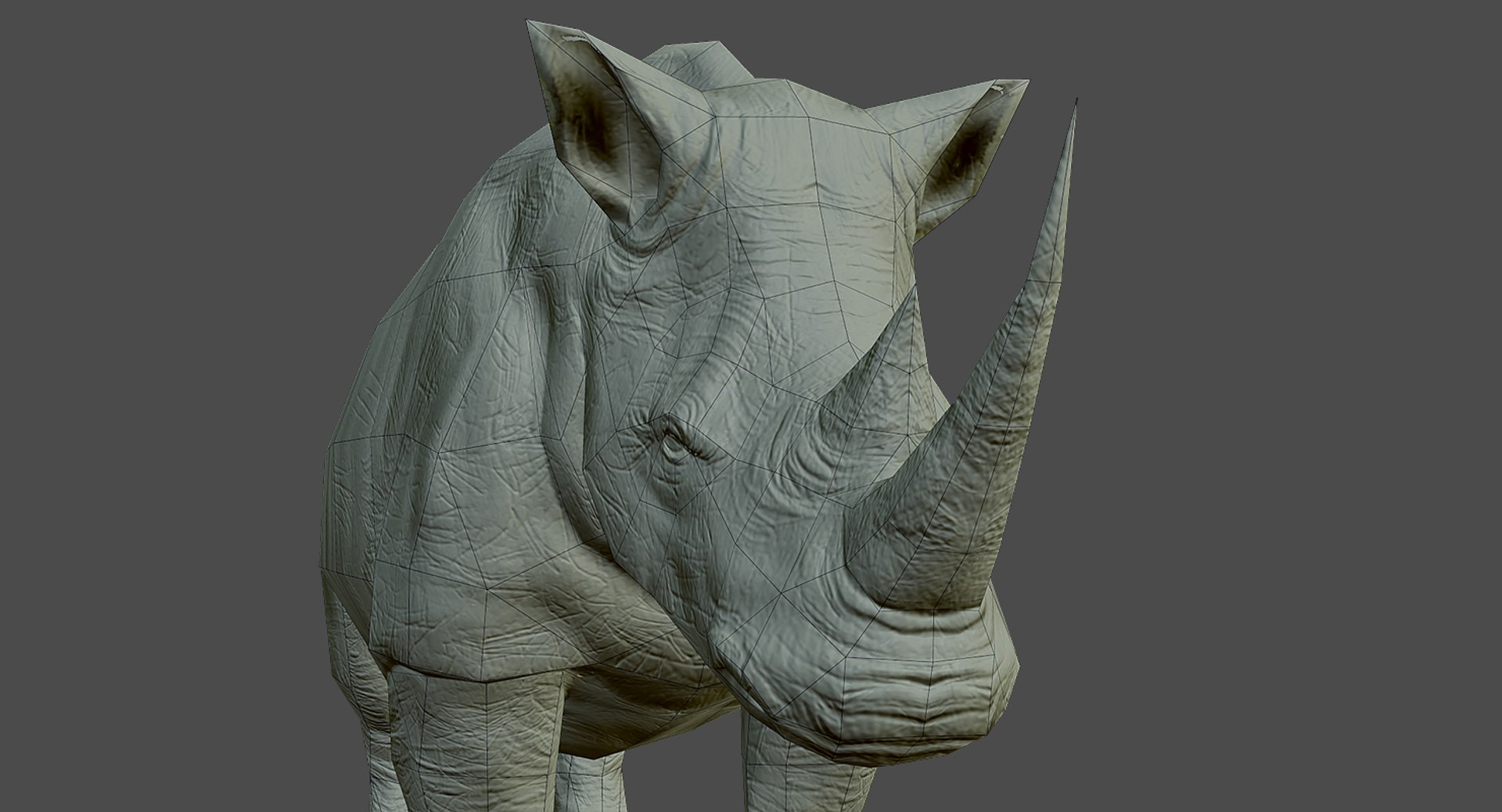 Realistic Rhino 3d Model