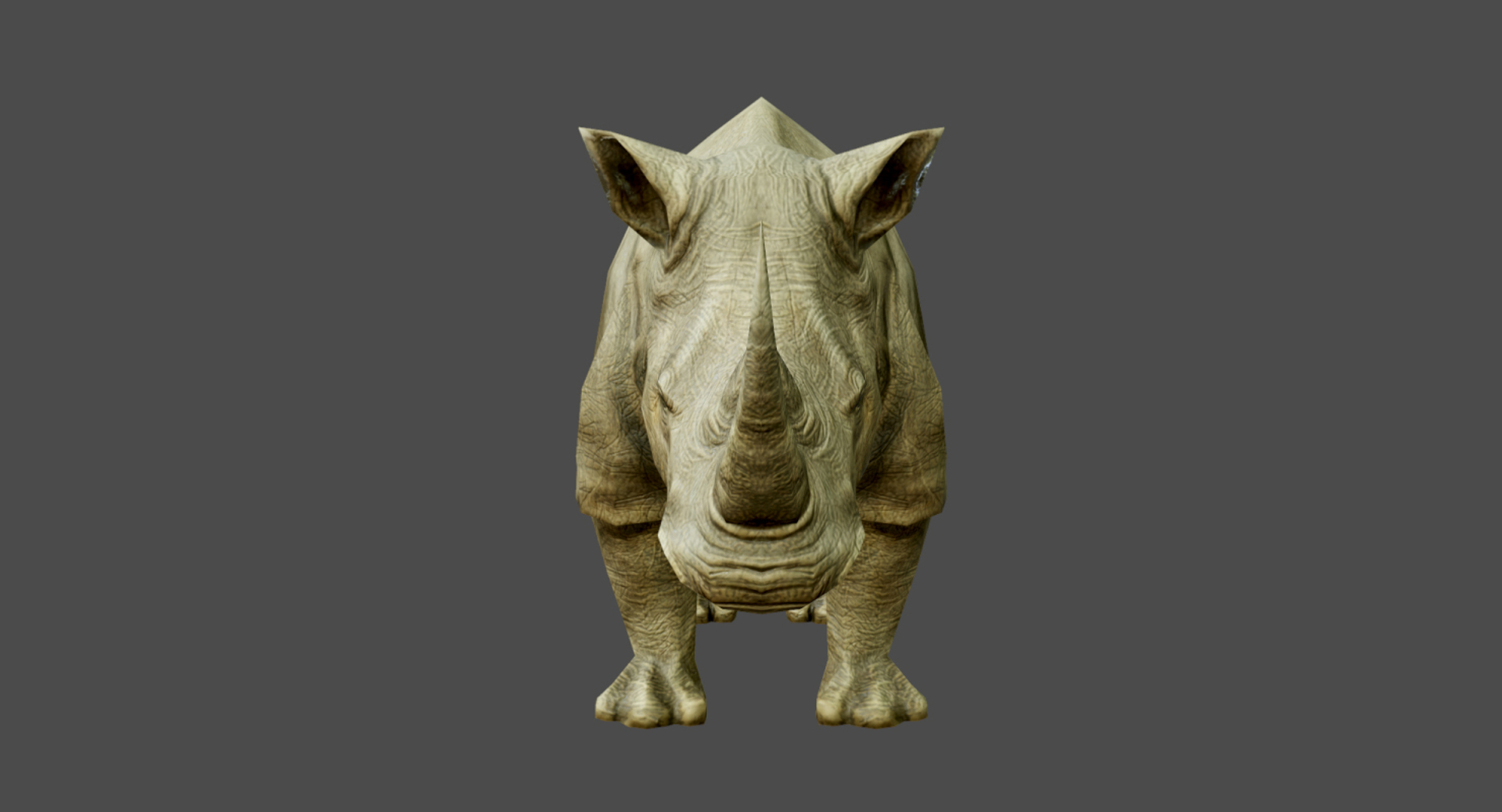 Realistic Rhino 3d Model