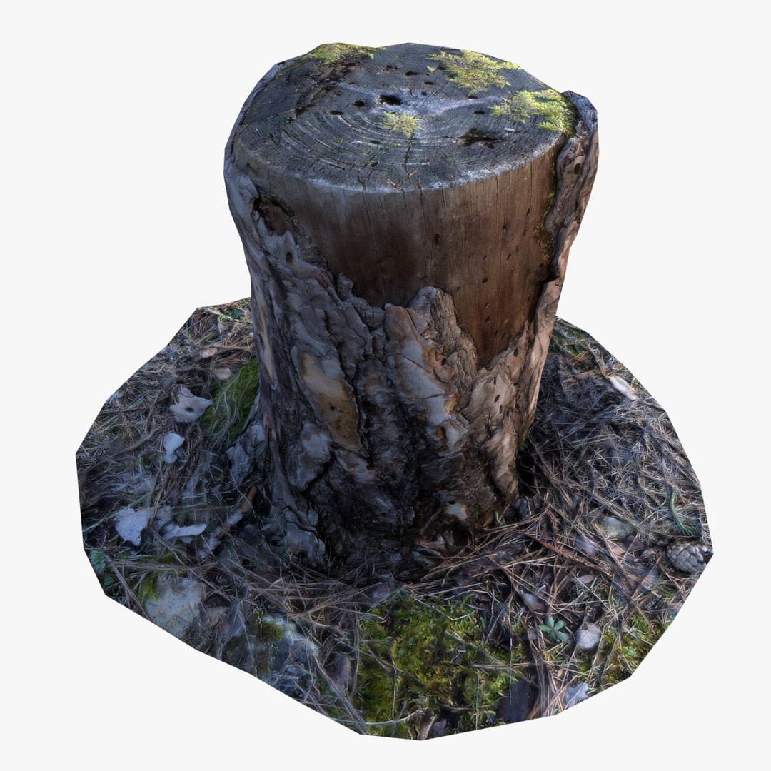 3d Realistic Pine Stump