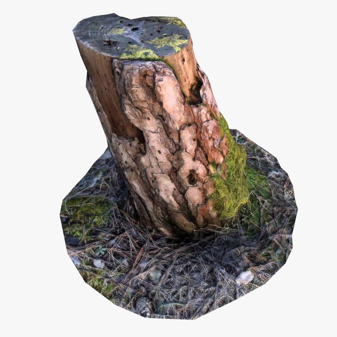 3d Realistic Pine Stump