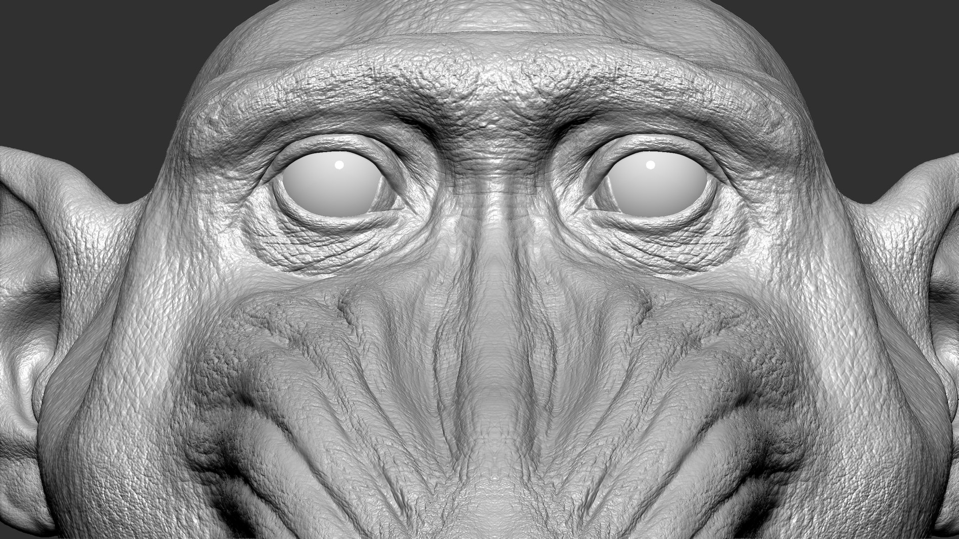 Mandrill VFX Head Model - TurboSquid 1919131