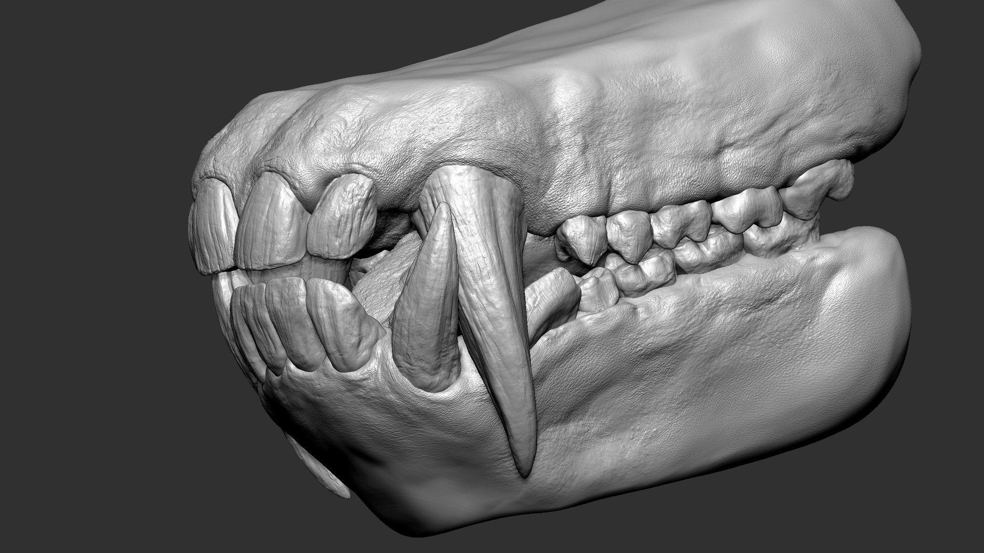 Mandrill VFX Head Model - TurboSquid 1919131