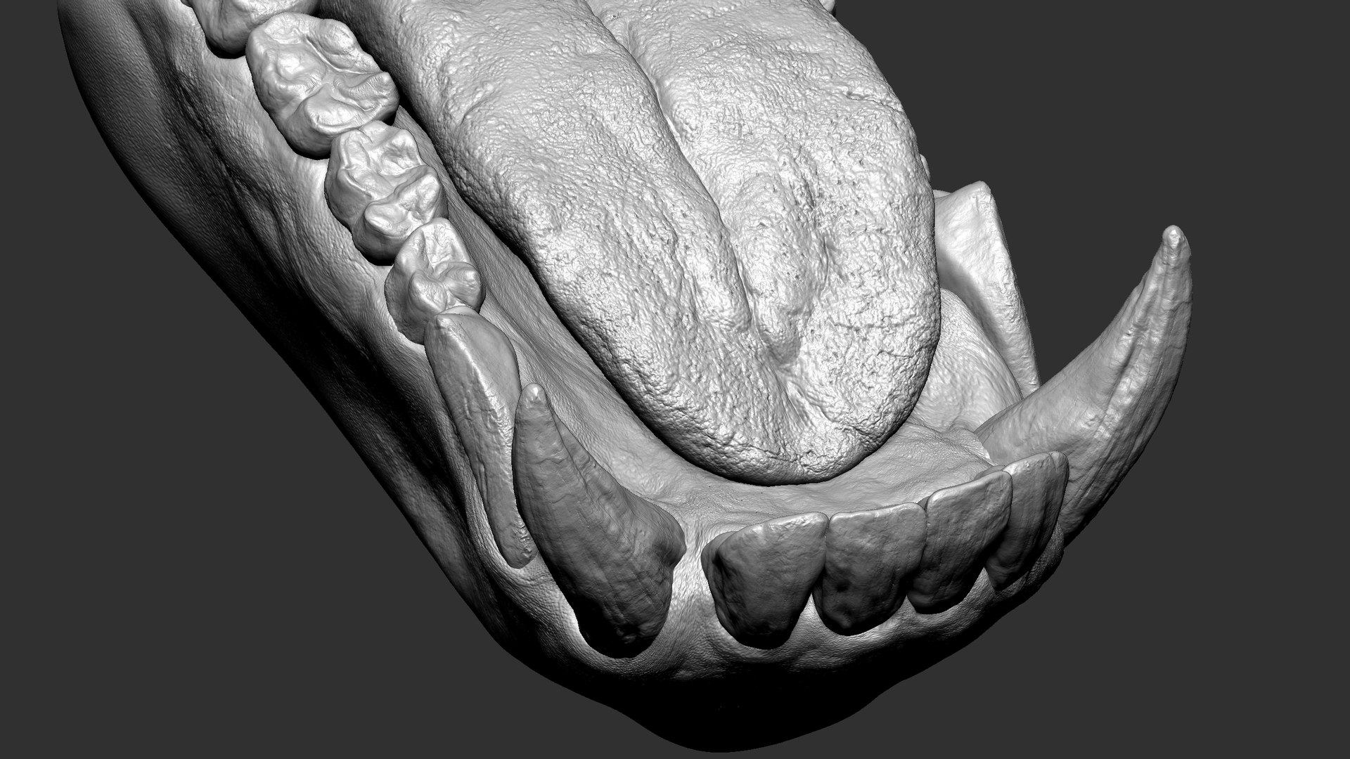 Mandrill VFX Head Model - TurboSquid 1919131