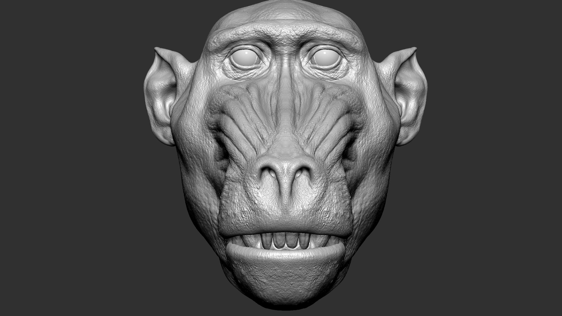 Mandrill VFX Head Model - TurboSquid 1919131
