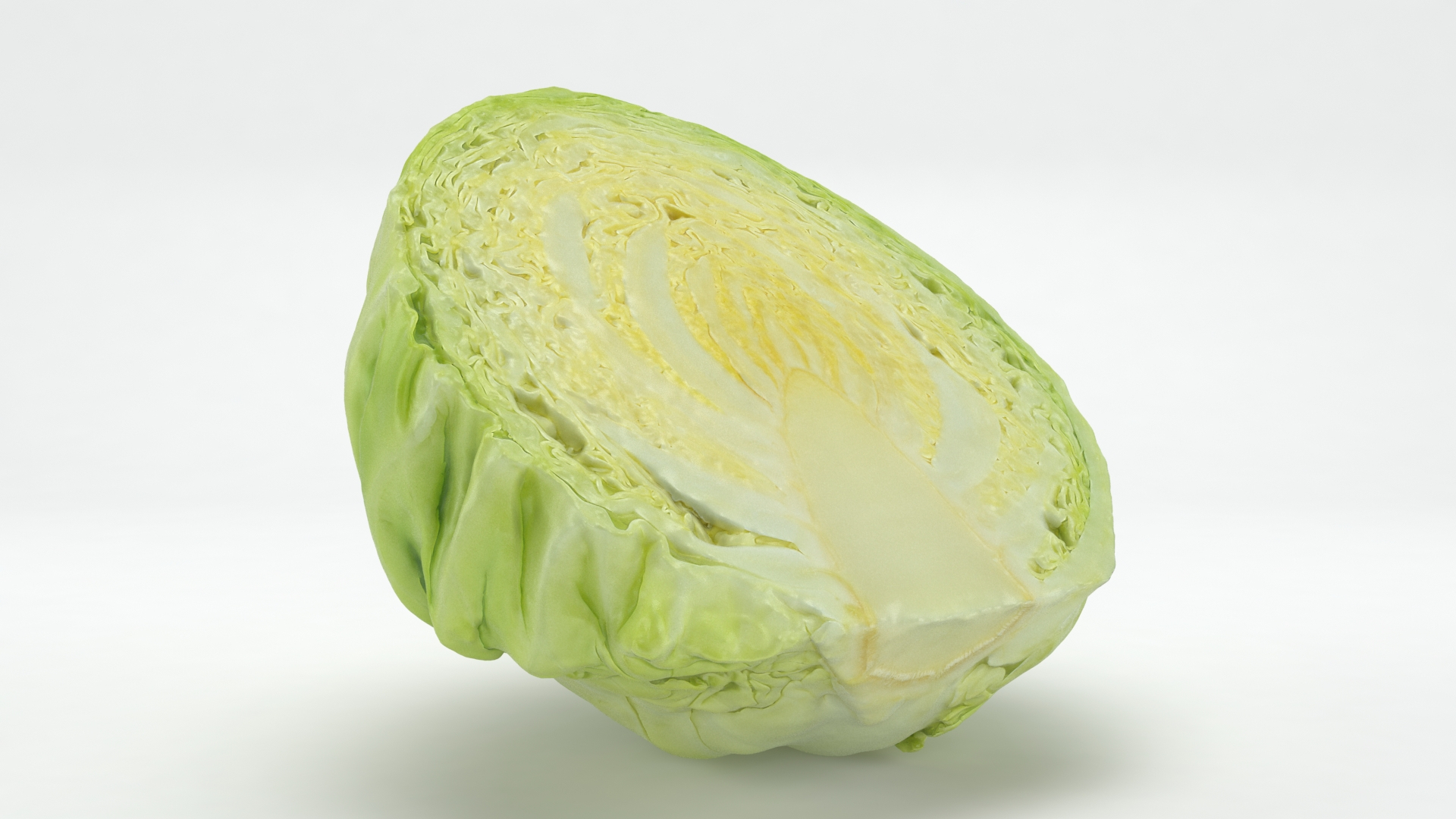3D Half Cabbage - TurboSquid 1847024