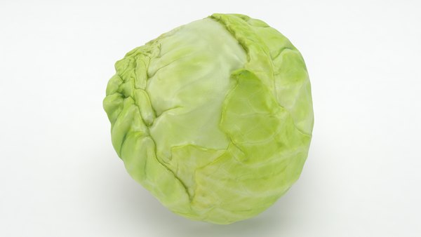3D Half Cabbage - TurboSquid 1847024