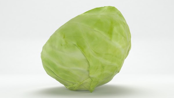 3D Half Cabbage - TurboSquid 1847024