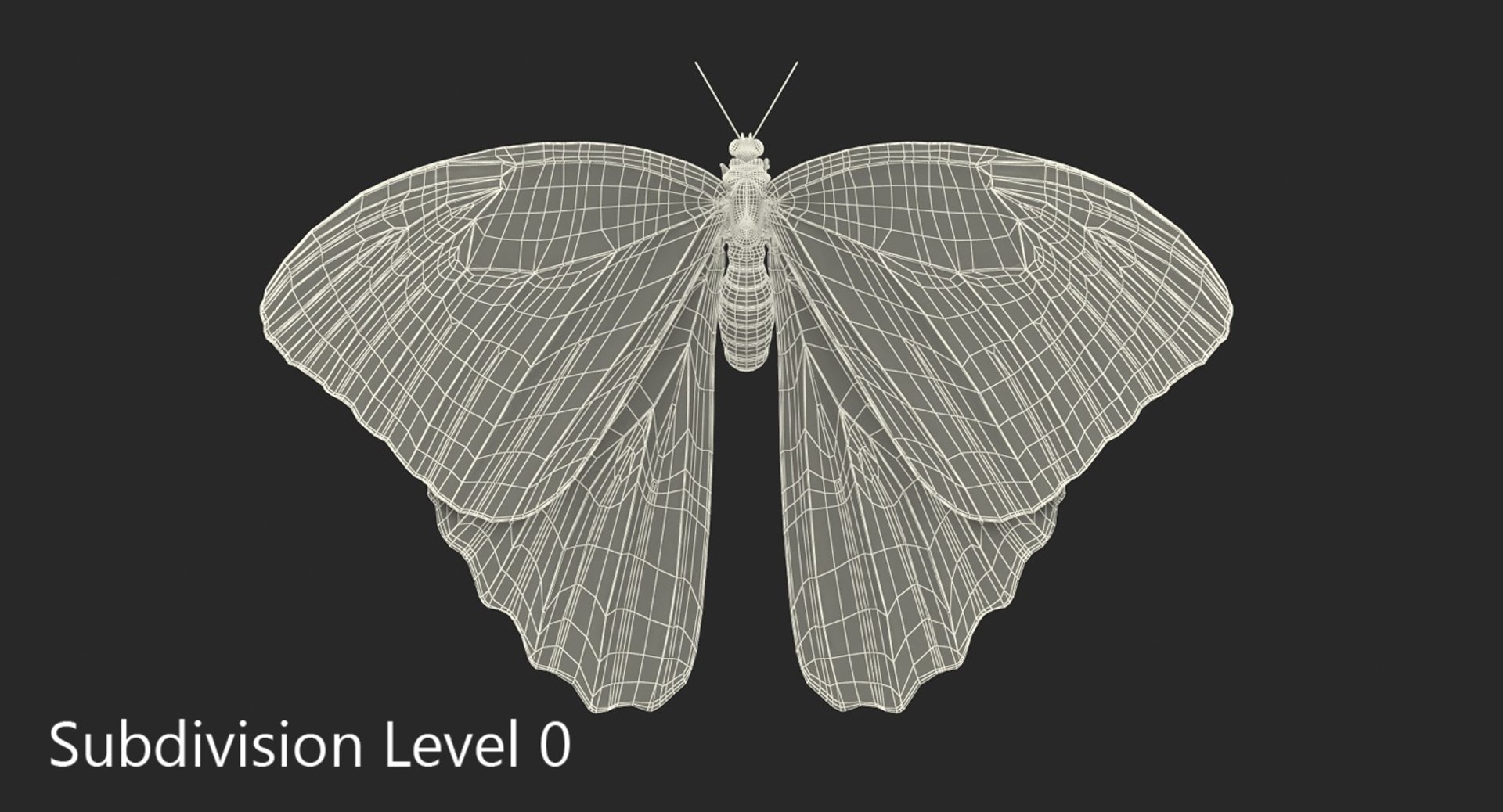 3D Common Morpho Butterfly Fur Color - TurboSquid 1165168