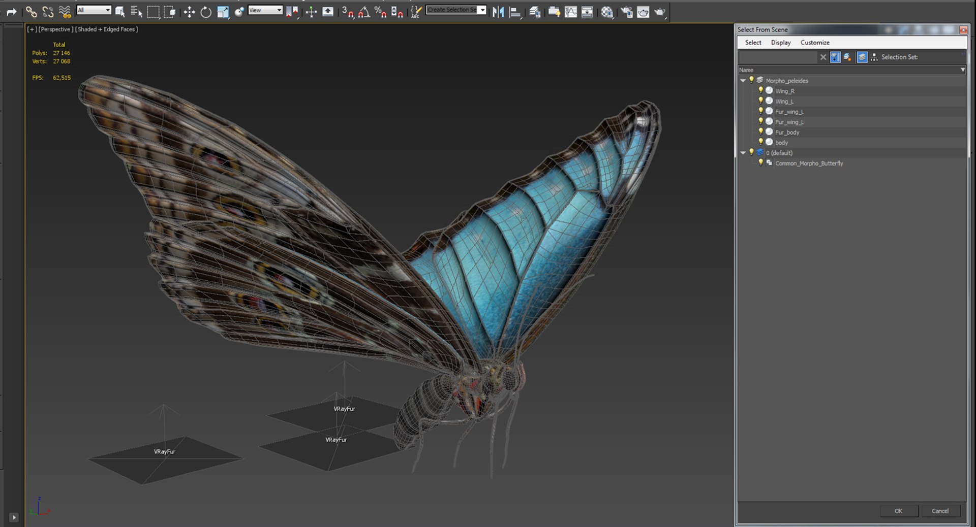 3D Common Morpho Butterfly Fur Color - TurboSquid 1165168
