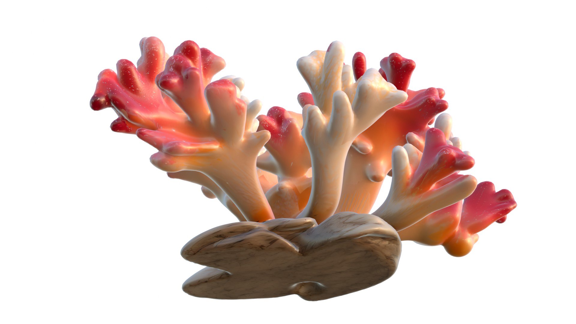 3D Coral Reef 23 - TurboSquid 2456413