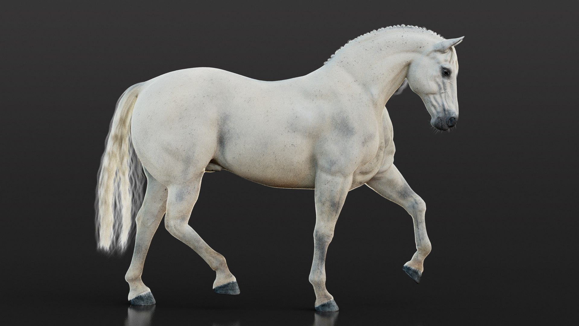 3D Horse 2026 White RIG XGEN - TurboSquid 2514150