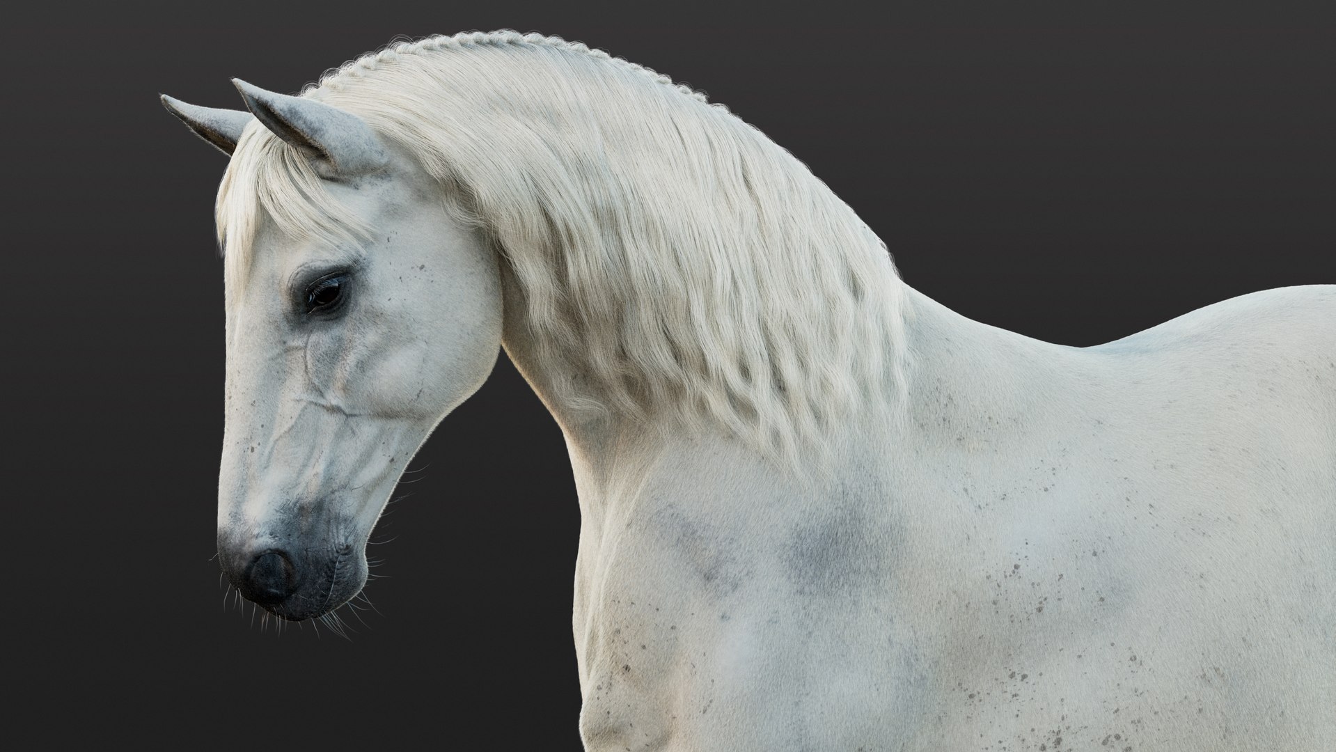 3D Horse 2026 White RIG XGEN - TurboSquid 2514150