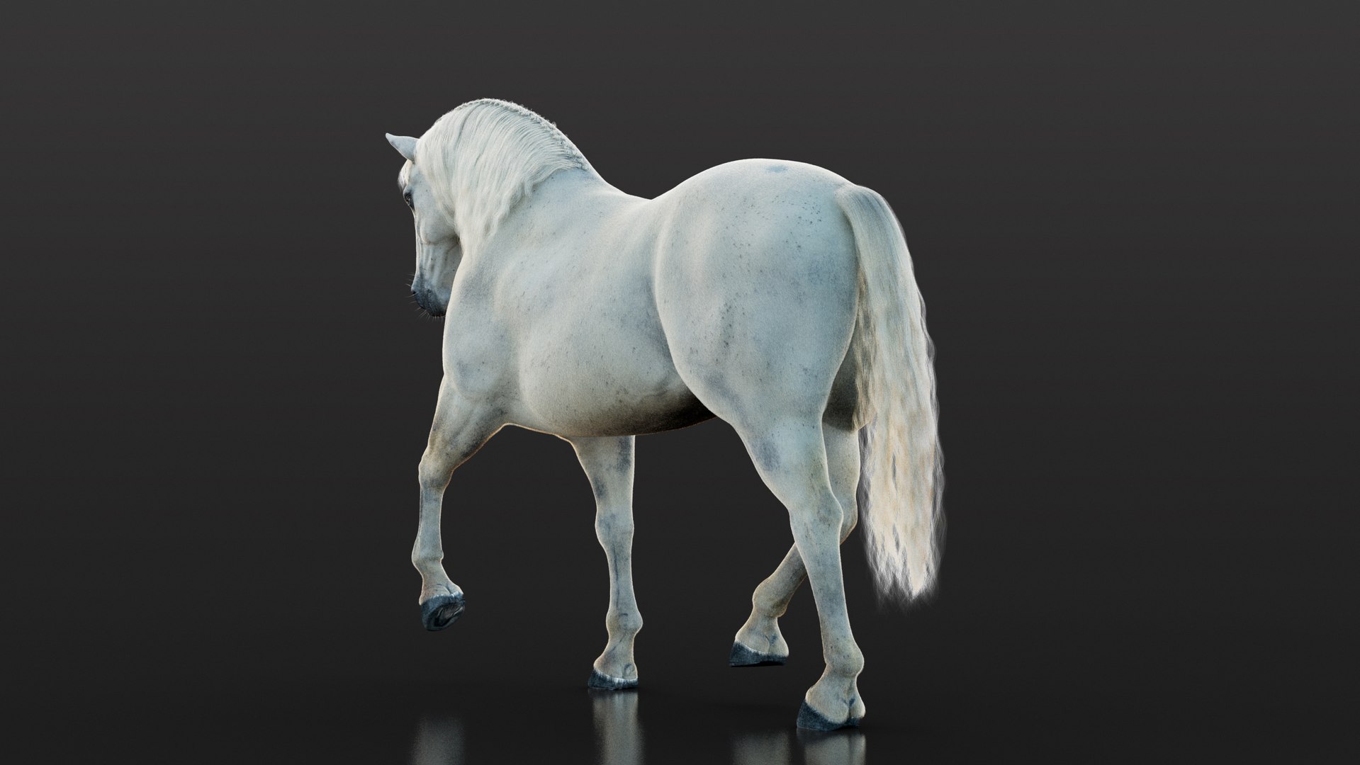 3D Horse 2026 White RIG XGEN - TurboSquid 2514150