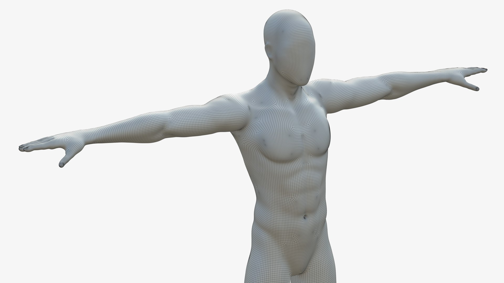 Mannequin T Pose Model - TurboSquid 2166894