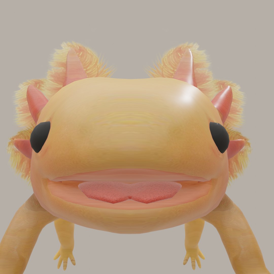 3D Axolotl WITH Basic Rig BLENDER - TurboSquid 1921780