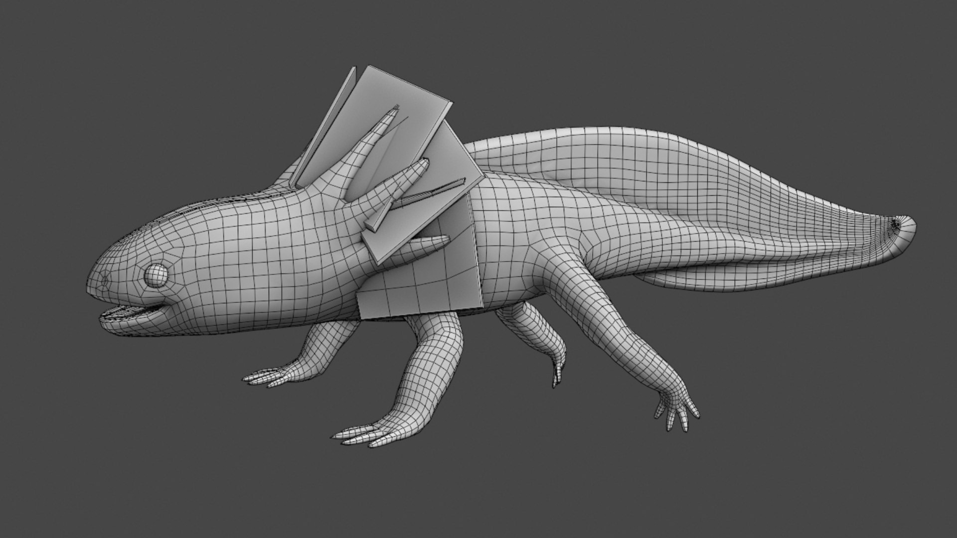 3D Axolotl WITH Basic Rig BLENDER - TurboSquid 1921780