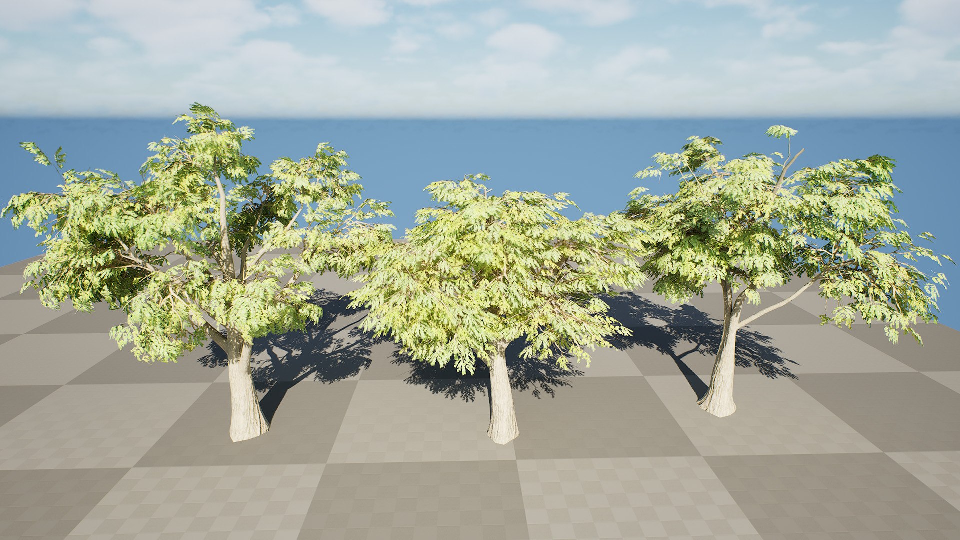 Realistic Mopane Tree 3D Asset Model - TurboSquid 2427868