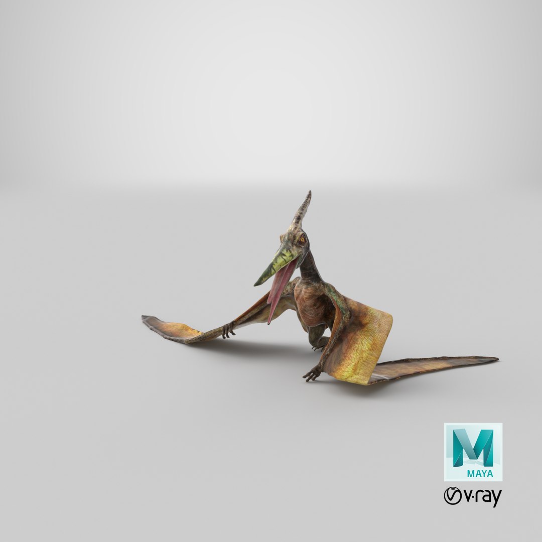 Pteranodon flying carnivorous reptile 3D model - TurboSquid 1402550
