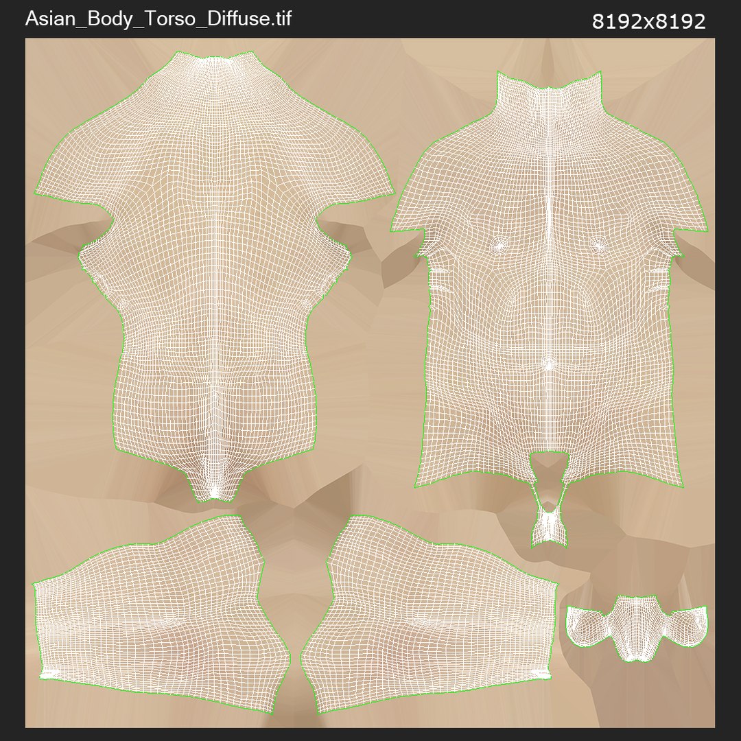 3D Model Asian Male Body - TurboSquid 1713983