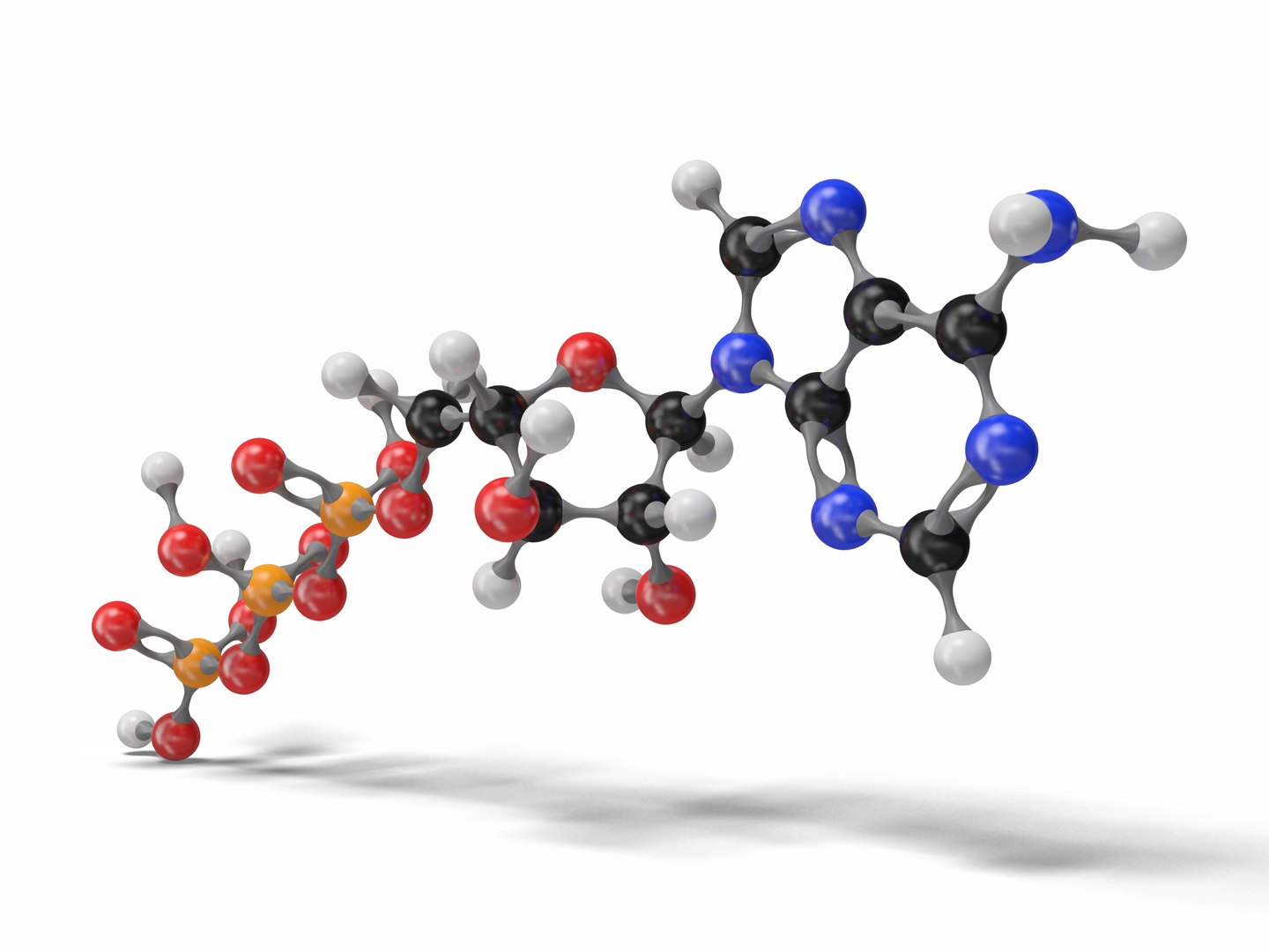 3D Adenosine Triphosphate Molecule C10h16n5o13p3 - TurboSquid 1570701