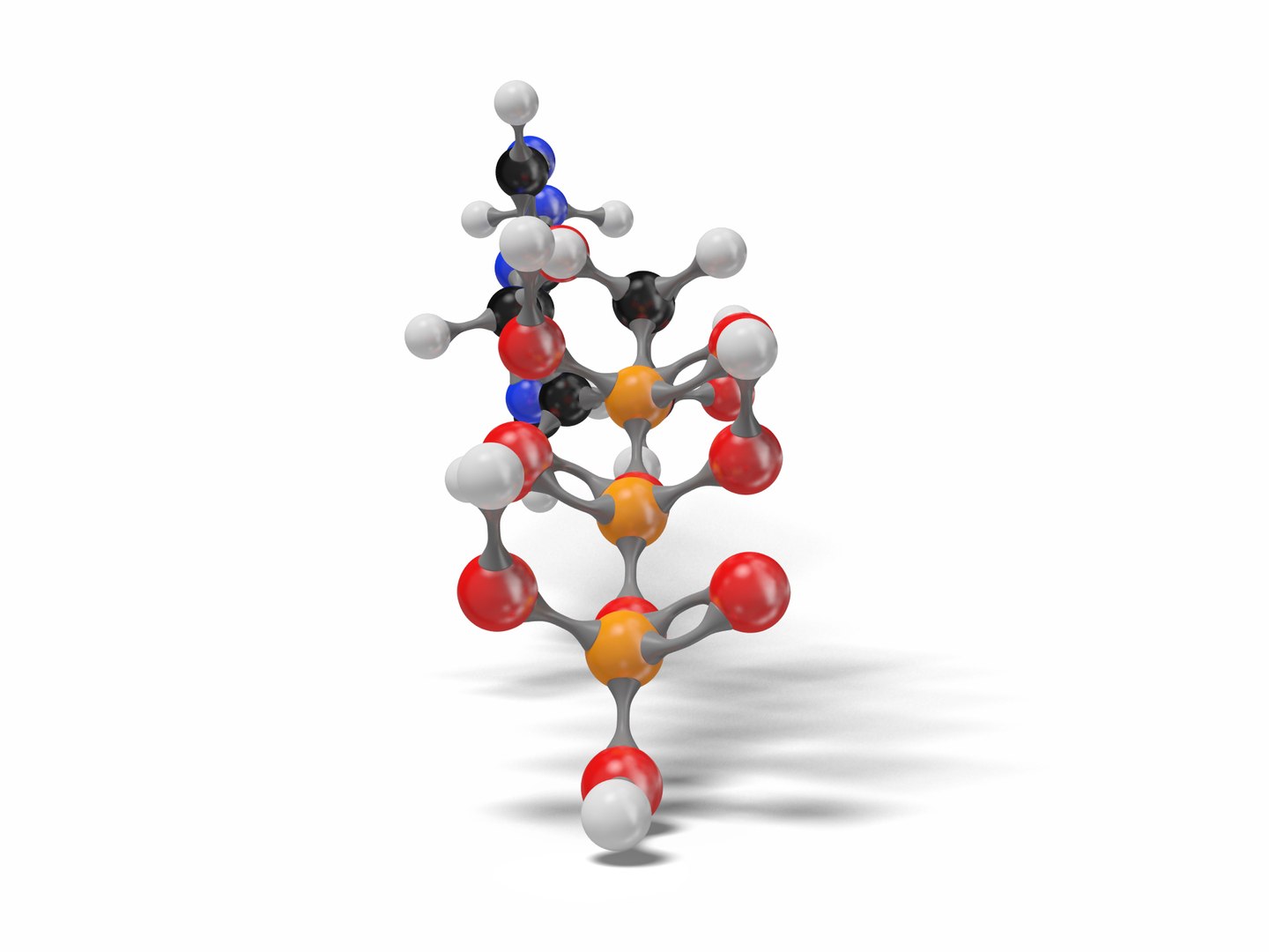 3D Adenosine Triphosphate Molecule C10h16n5o13p3 - TurboSquid 1570701