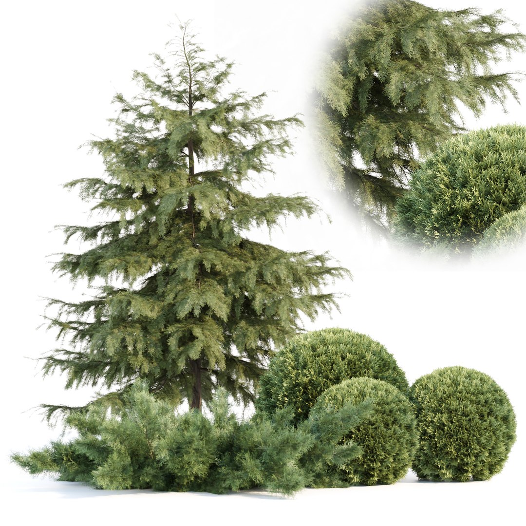 Seasonal Juniper Garden Collection Vol 143 3D Model - TurboSquid 1984751